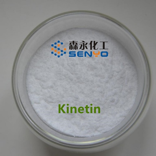 Kinetin / 6-Furfurylaminopurine(6-KT）98% Henan Senyo Industry Co., Ltd.